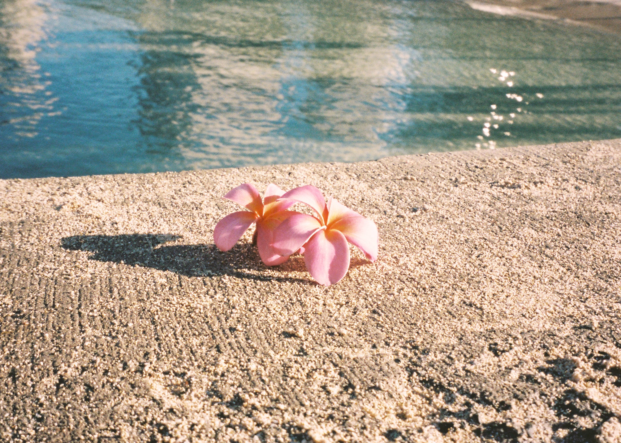 GALLERY – Grace Marr Collection